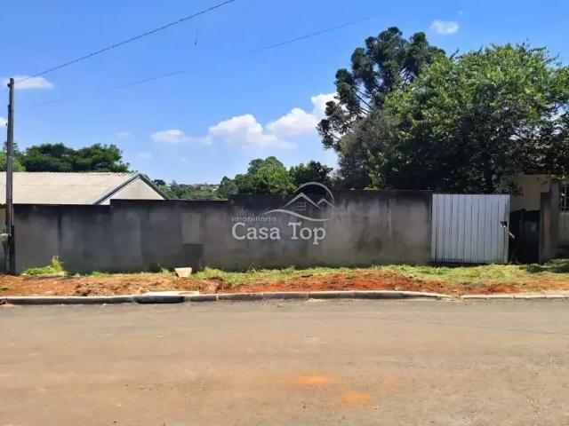Terreno / Lote para Venda em Ponta Grossa/PR Uvaranas