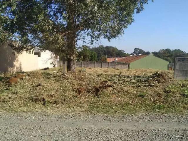 Terreno / Lote para Venda em Ponta Grossa/PR Uvaranas