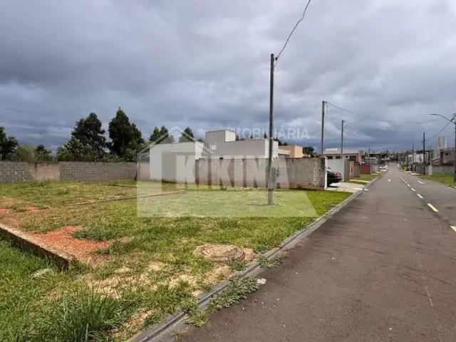 Terreno / Lote para Venda em Ponta Grossa/PR Uvaranas