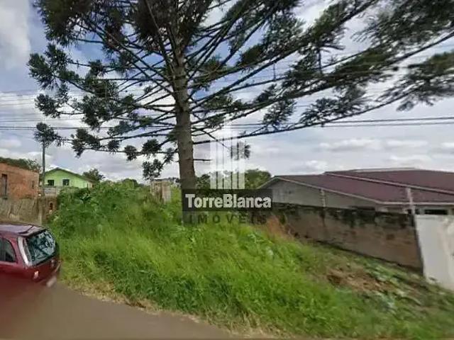 Terreno / Lote para Venda em Ponta Grossa/PR Uvaranas