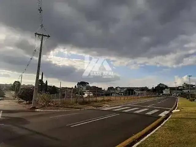Terreno / Lote para Venda em Ponta Grossa/PR Uvaranas
