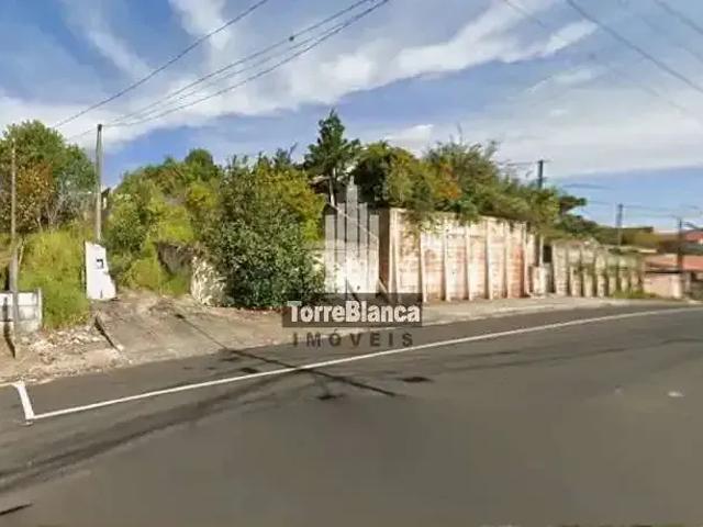 Terreno / Lote para Venda em Ponta Grossa/PR Uvaranas