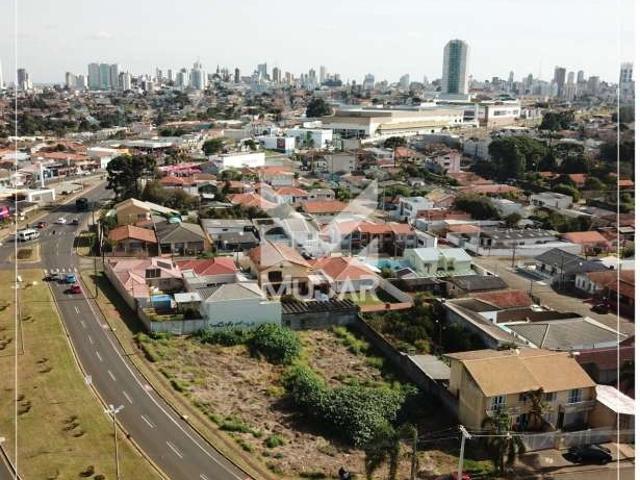 Terreno / Lote para Venda em Ponta Grossa/PR Uvaranas