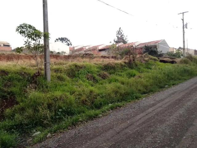 Terreno / Lote para Venda em Ponta Grossa/PR Uvaranas