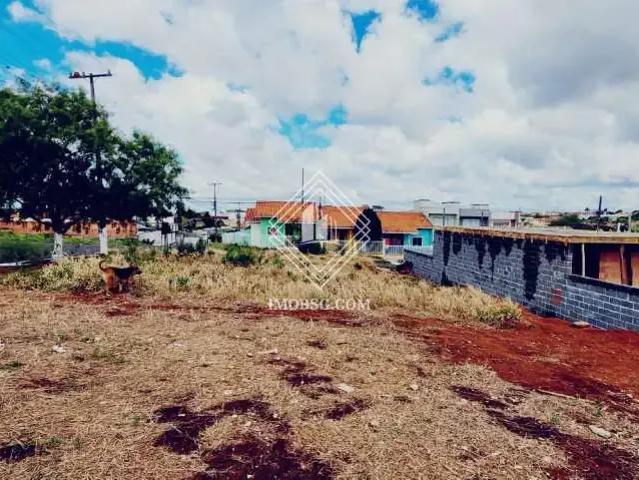 Terreno / Lote para Venda em Ponta Grossa/PR Uvaranas