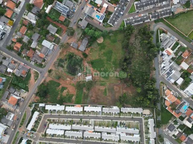 Terreno / Lote para Venda em Ponta Grossa/PR Uvaranas