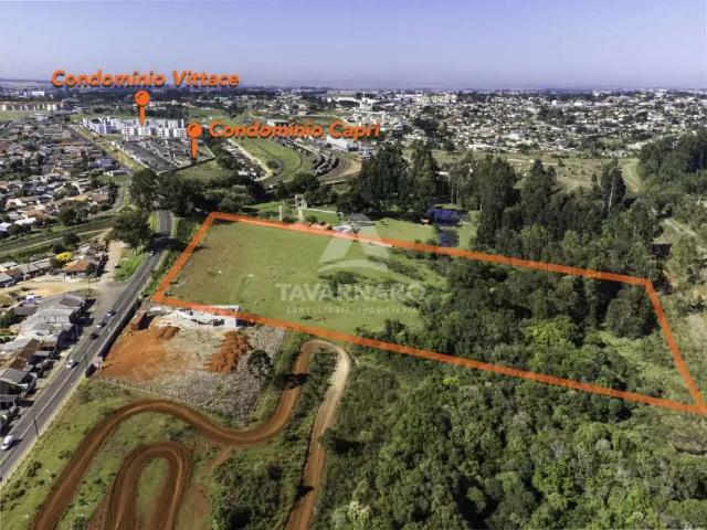 Terreno / Lote para Venda em Ponta Grossa/PR Uvaranas