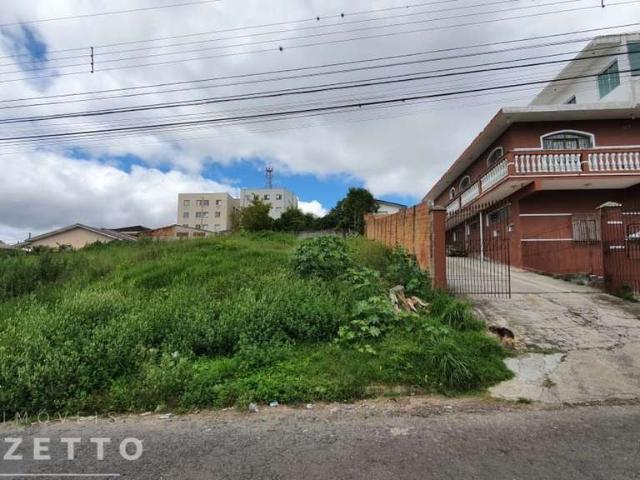 Terreno / Lote para Venda em Ponta Grossa/PR Uvaranas