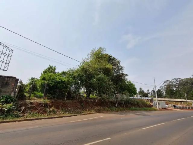 Terreno / Lote para Venda em Ponta Grossa/PR Uvaranas