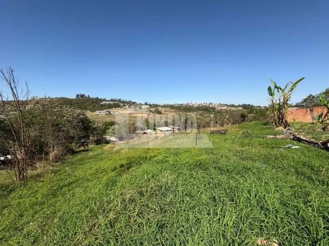 Terreno / Lote para Venda em Ponta Grossa/PR Uvaranas