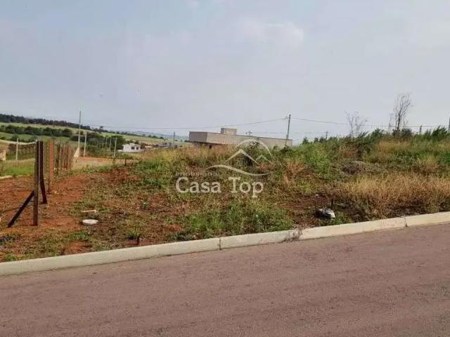 Terreno / Lote para Venda em Ponta Grossa/PR Uvaranas