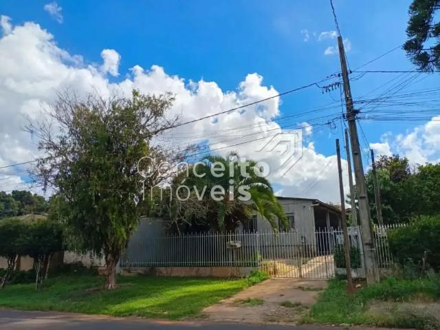 Terreno / Lote para Venda em Ponta Grossa/PR Uvaranas
