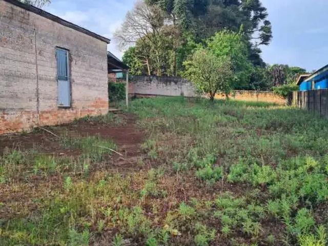 Terreno / Lote para Venda em Ponta Grossa/PR Uvaranas