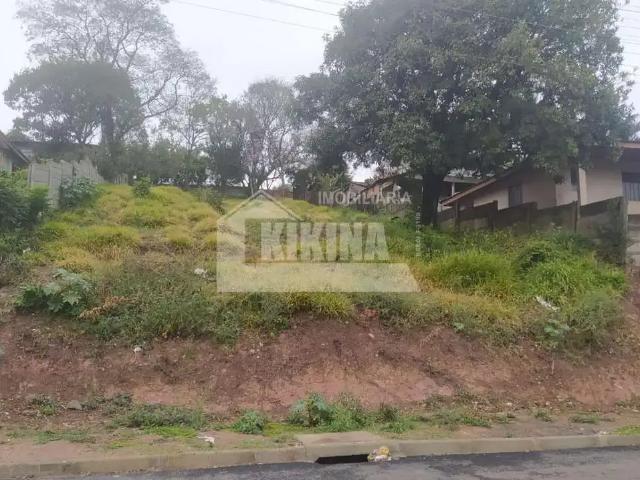 Terreno / Lote para Venda em Ponta Grossa/PR Uvaranas