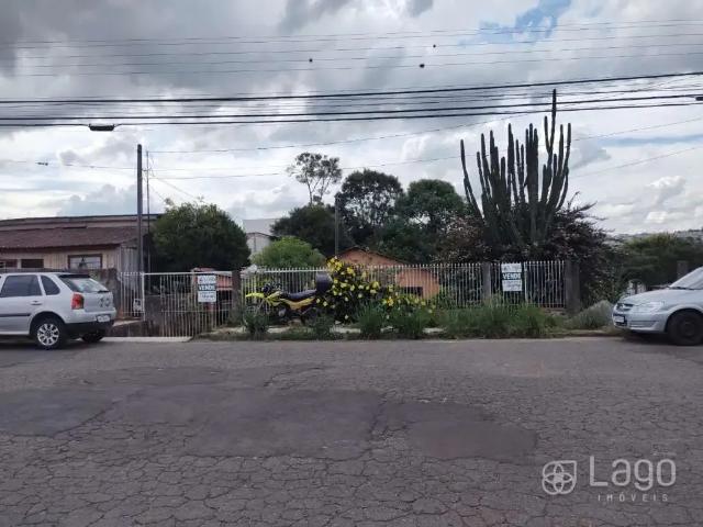 Terreno / Lote para Venda em Ponta Grossa/PR Uvaranas