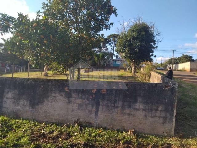 Terreno / Lote para Venda em Ponta Grossa/PR Uvaranas