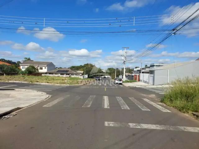 Terreno / Lote para Venda em Ponta Grossa/PR Uvaranas