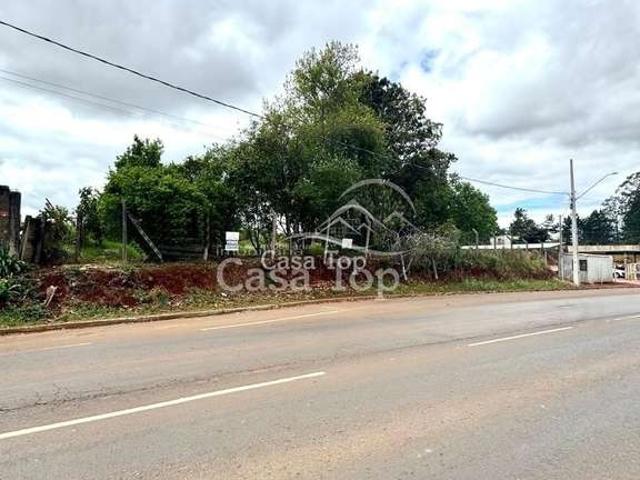 Terreno / Lote para Venda em Ponta Grossa/PR Uvaranas