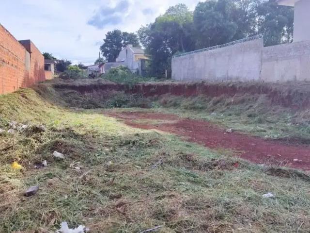 Terreno / Lote para Venda em Ponta Grossa/PR Uvaranas