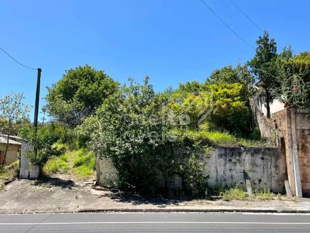 Terreno / Lote para Venda em Ponta Grossa/PR Uvaranas