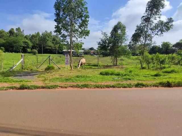 Terreno / Lote para Venda em Ponta Grossa/PR Uvaranas