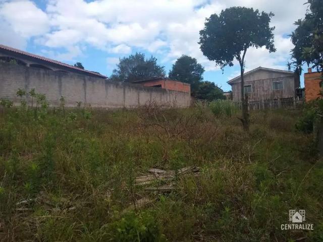 Terreno / Lote para Venda em Ponta Grossa/PR Uvaranas