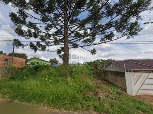 Terreno / Lote para Venda em Ponta Grossa/PR Uvaranas