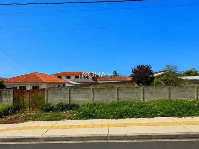 Terreno / Lote para Venda em Ponta Grossa/PR Uvaranas
