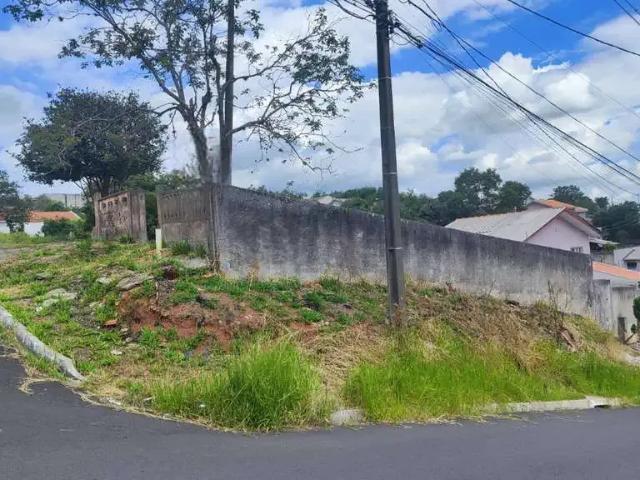Terreno / Lote para Venda em Ponta Grossa/PR Uvaranas