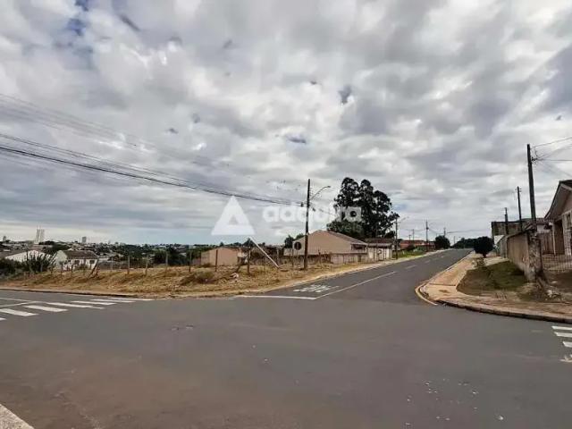 Terreno / Lote para Venda em Ponta Grossa/PR Boa Vista