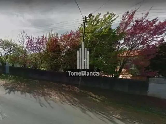 Terreno / Lote para Venda em Ponta Grossa/PR Boa Vista