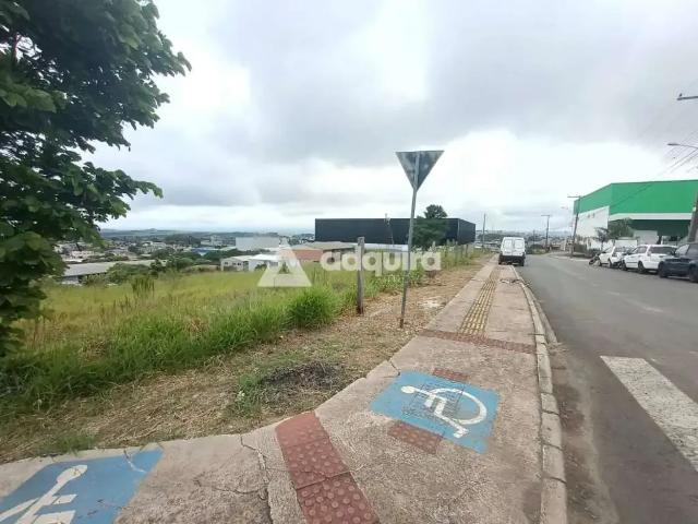 Terreno / Lote para Venda em Ponta Grossa/PR Boa Vista
