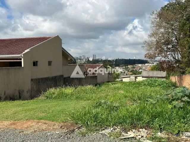 Terreno / Lote para Venda em Ponta Grossa/PR Boa Vista