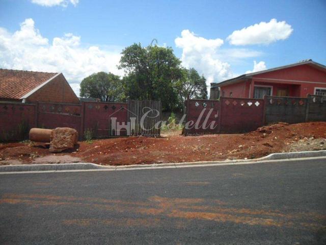 Terreno / Lote para Venda em Ponta Grossa/PR Boa Vista