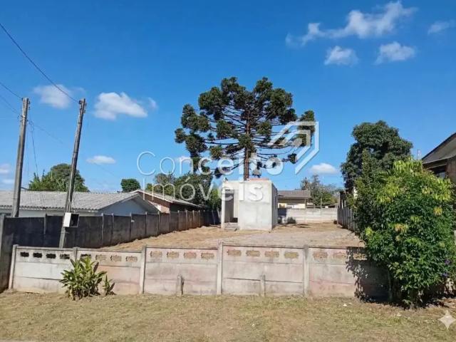 Terreno / Lote para Venda em Ponta Grossa/PR Boa Vista