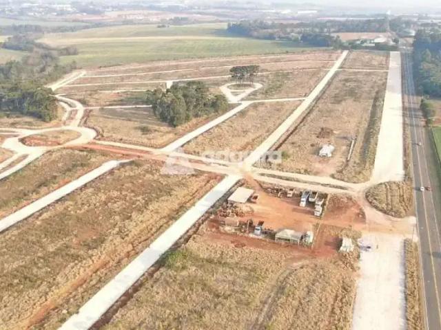 Terreno / Lote para Venda em Ponta Grossa/PR Cará cará