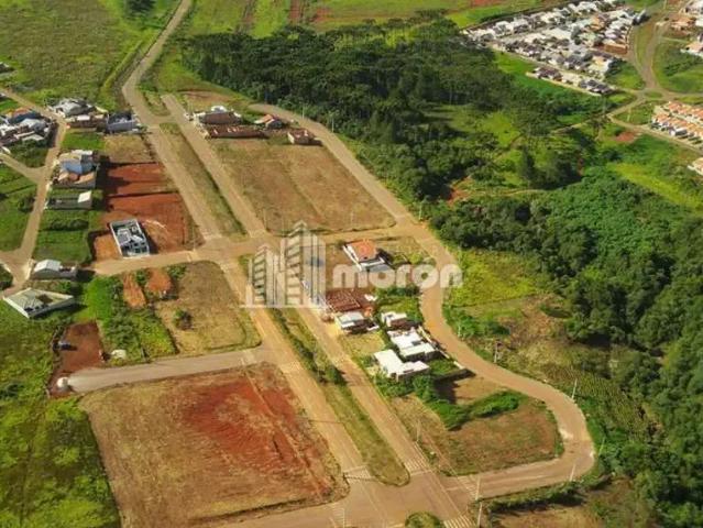 Terreno / Lote para Venda em Ponta Grossa/PR Cará cará