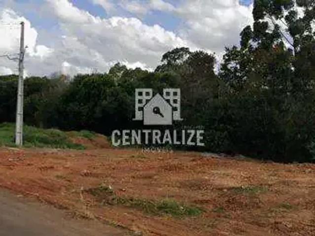 Terreno / Lote para Venda em Ponta Grossa/PR Cará cará