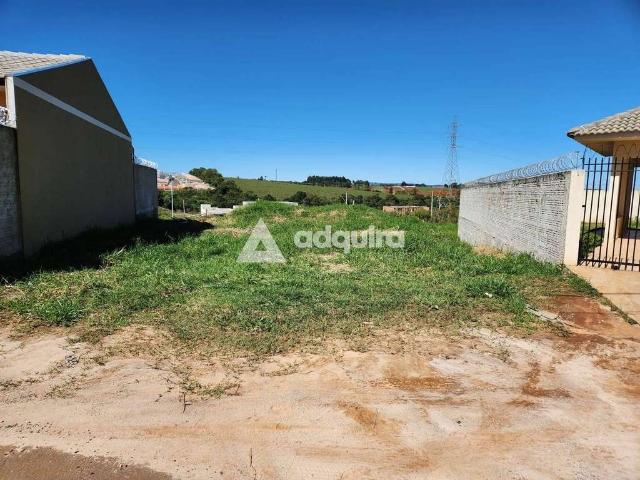 Terreno / Lote para Venda em Ponta Grossa/PR Cará cará