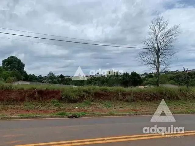 Terreno / Lote para Venda em Ponta Grossa/PR Cará cará