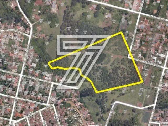 Terreno / Lote para Venda em Ponta Grossa/PR Cará cará