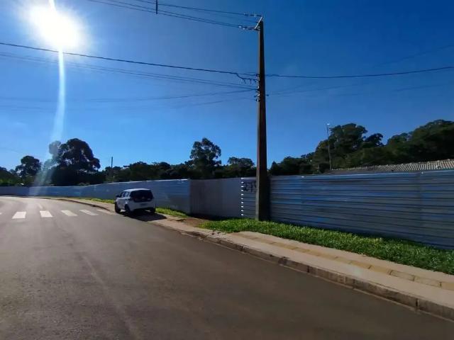 Terreno / Lote para Venda em Ponta Grossa/PR Cará cará