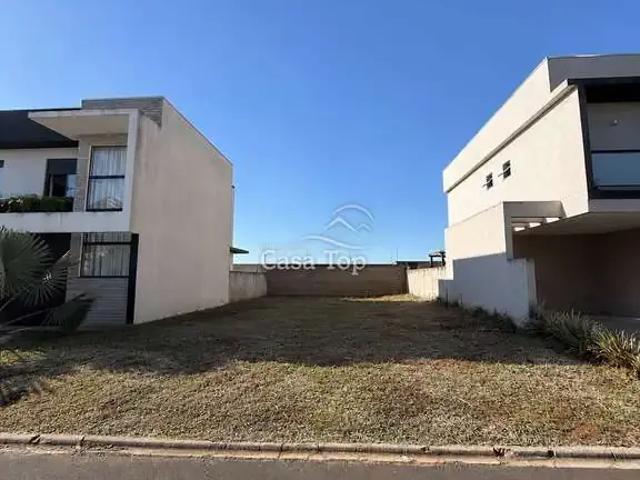 Terreno / Lote para Venda em Ponta Grossa/PR Cará cará