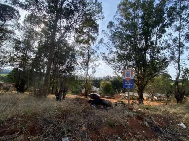 Terreno / Lote para Venda em Ponta Grossa/PR Cará cará