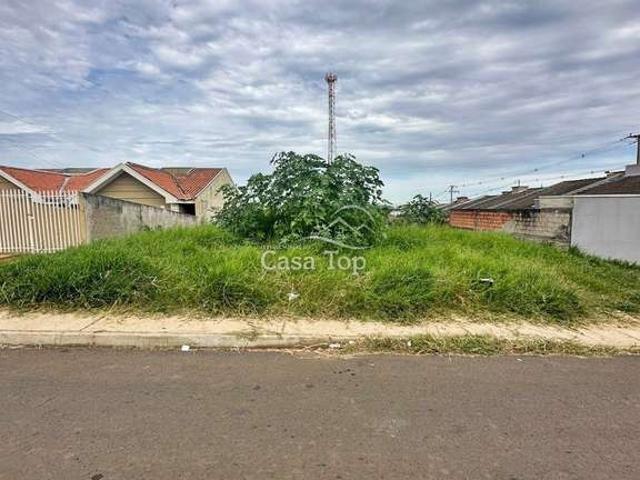Terreno / Lote para Venda em Ponta Grossa/PR Cará cará