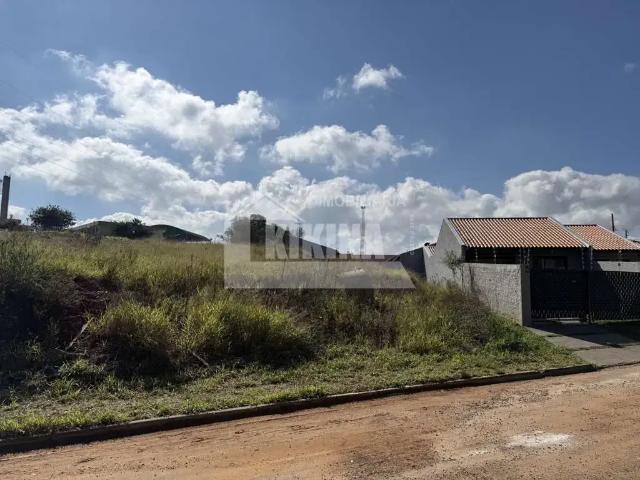 Terreno / Lote para Venda em Ponta Grossa/PR Cará cará