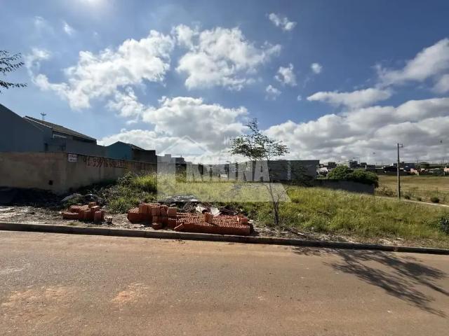 Terreno / Lote para Venda em Ponta Grossa/PR Cará cará