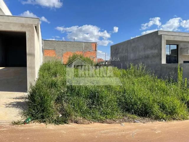 Terreno / Lote para Venda em Ponta Grossa/PR Cará cará
