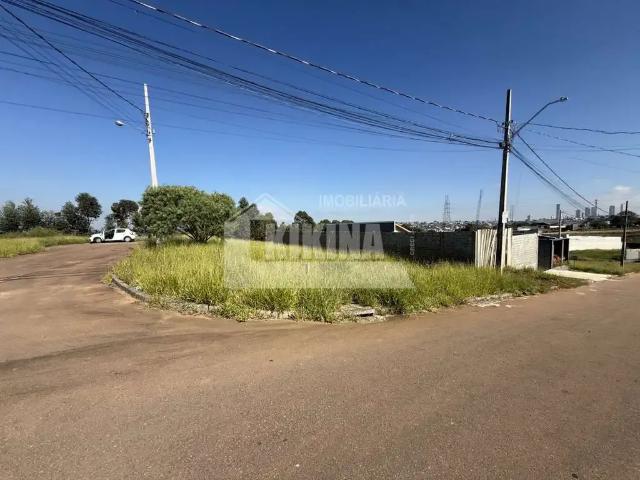 Terreno / Lote para Venda em Ponta Grossa/PR Cará cará