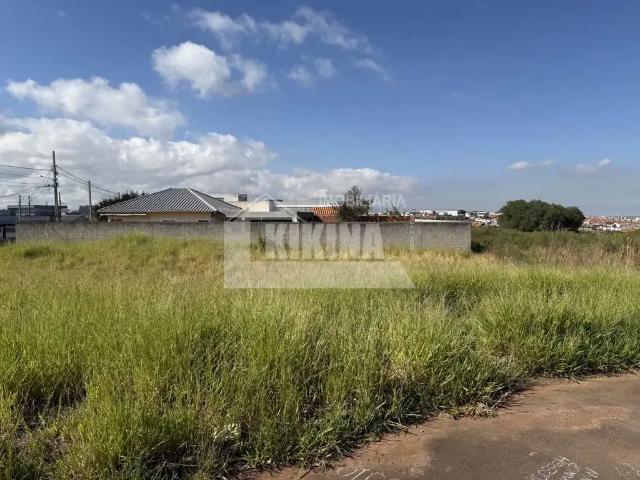 Terreno / Lote para Venda em Ponta Grossa/PR Cará cará